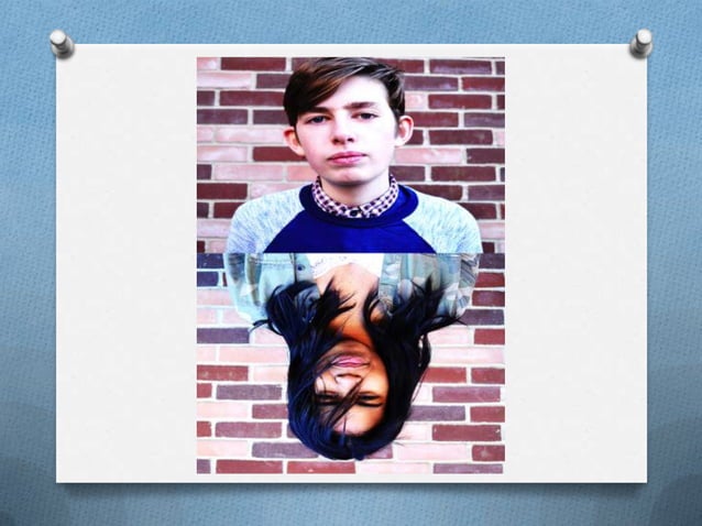 electronic profile | PPTX