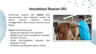 SOP IB - PPDH 37 KEL. C.pptx