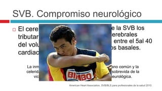 Soporte Vital Básico Relevancia de la reanimación básica | PPTX