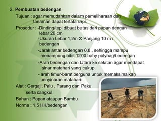 Sop pre nursery | PPTX