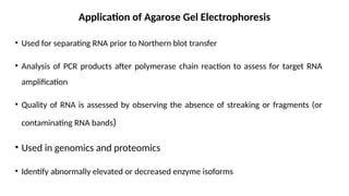 COMPLETE UPDATED RNA GEL ELECTROPHORESIS | PPTX