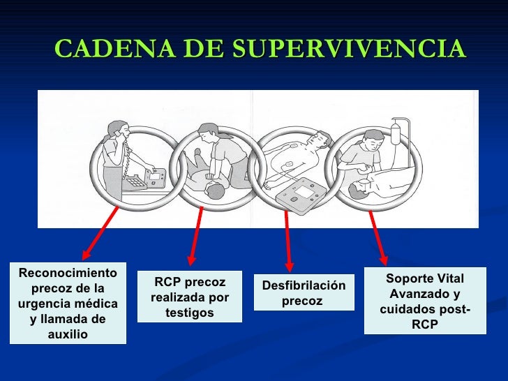 CURSO RCP BÁSICO