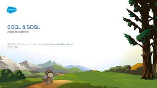 SOQL & SOSL for Admins | PPTX | Databases | Computer Software and ...