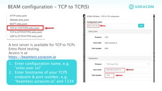 SORACOM-Global Hands-on Series: SORACOM Beam | PDF