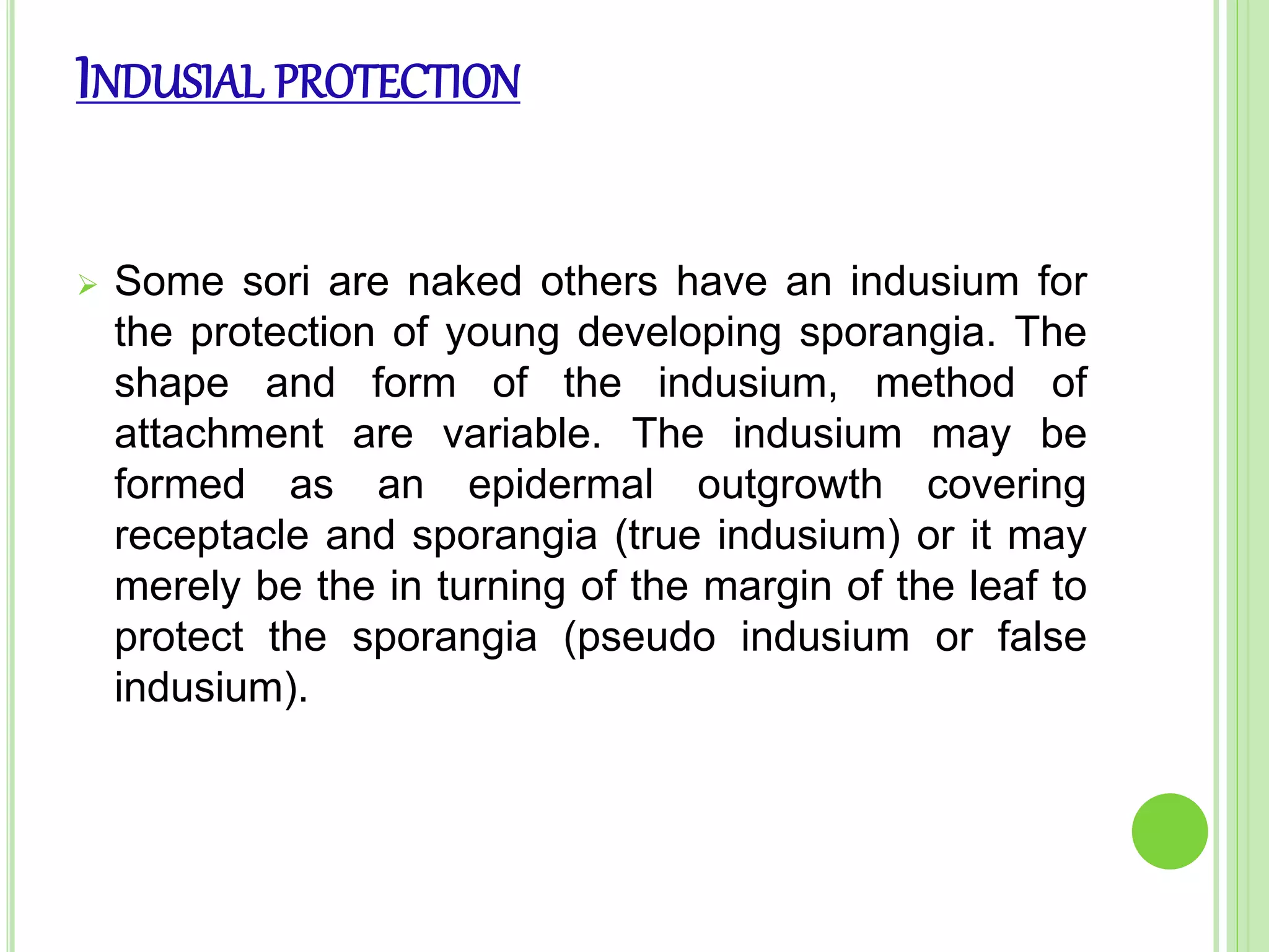 Soral evolution in ferns | PPTX