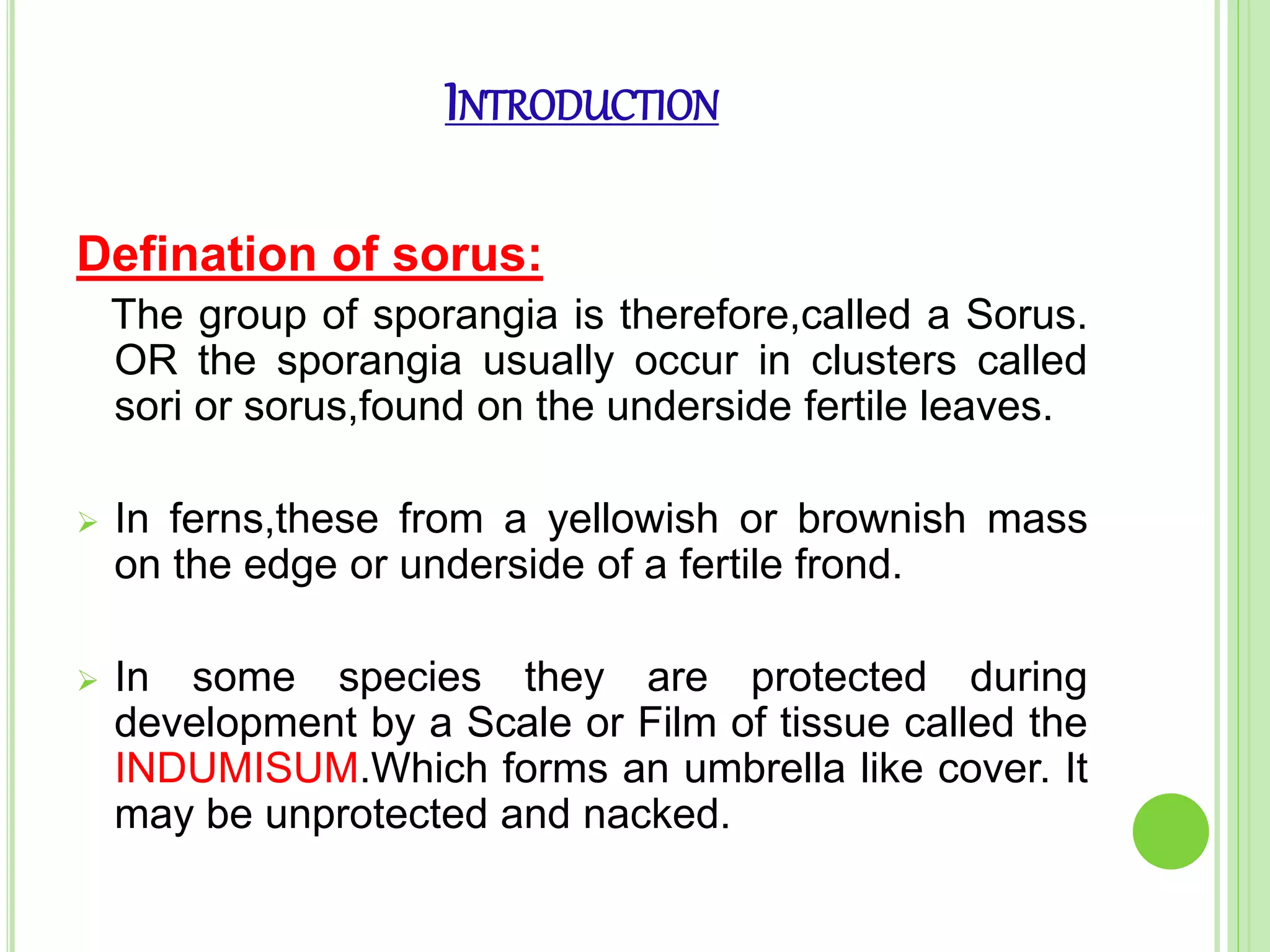 Soral evolution in ferns | PPTX