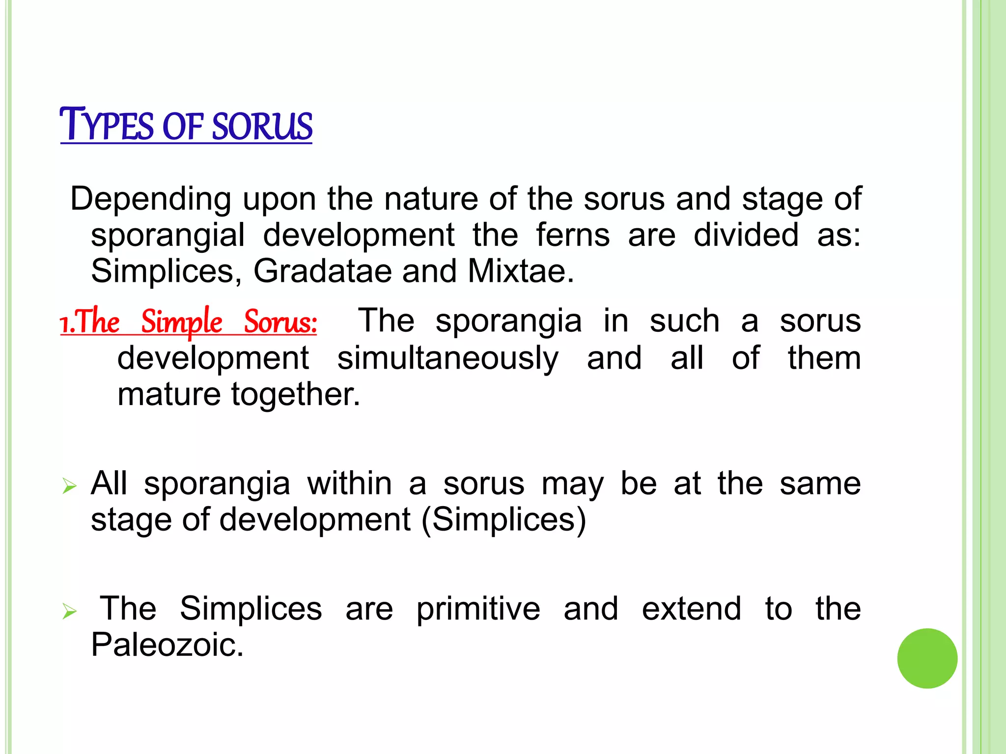 Soral evolution in ferns | PPTX