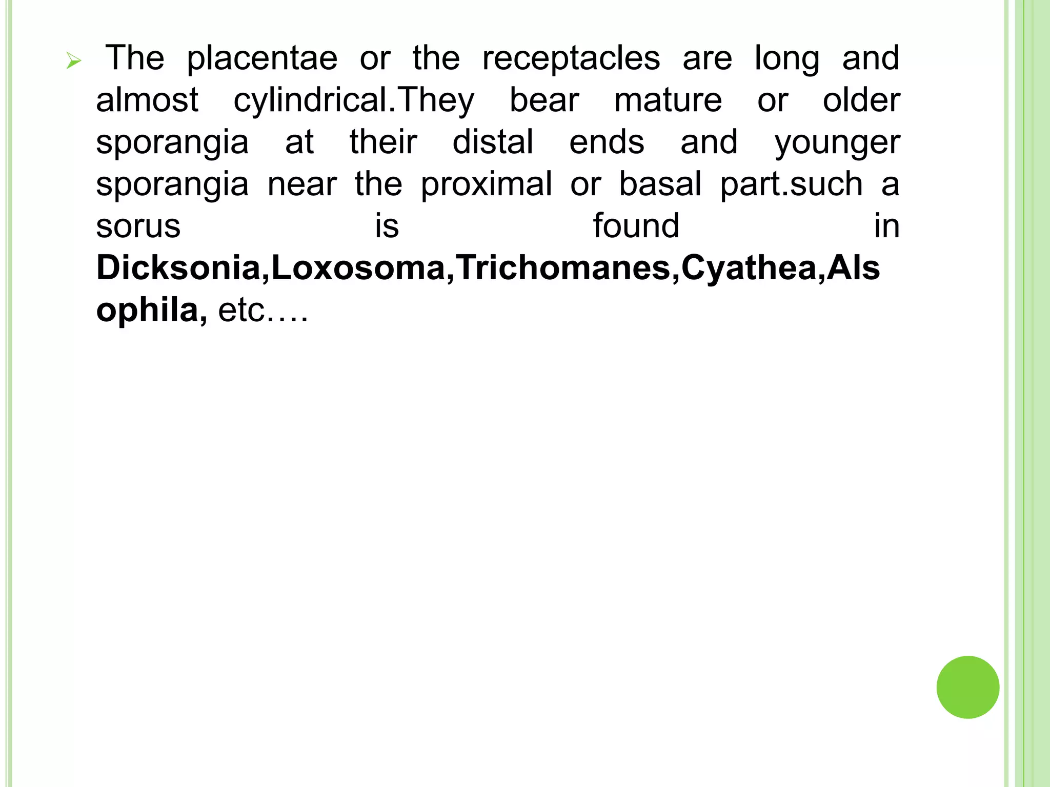 Soral evolution in ferns | PPTX