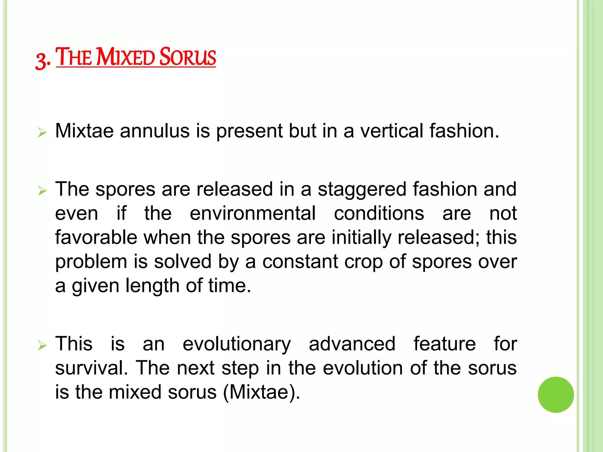 Soral evolution in ferns | PPTX