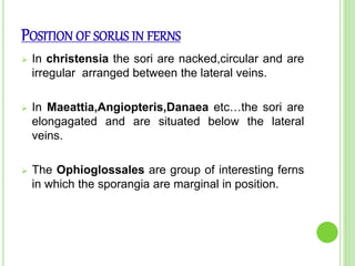 Soral evolution in ferns | PPTX