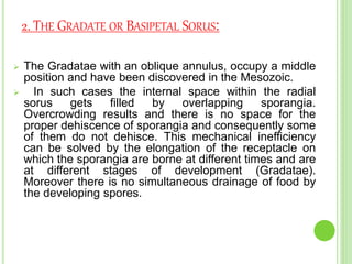 Soral evolution in ferns | PPTX