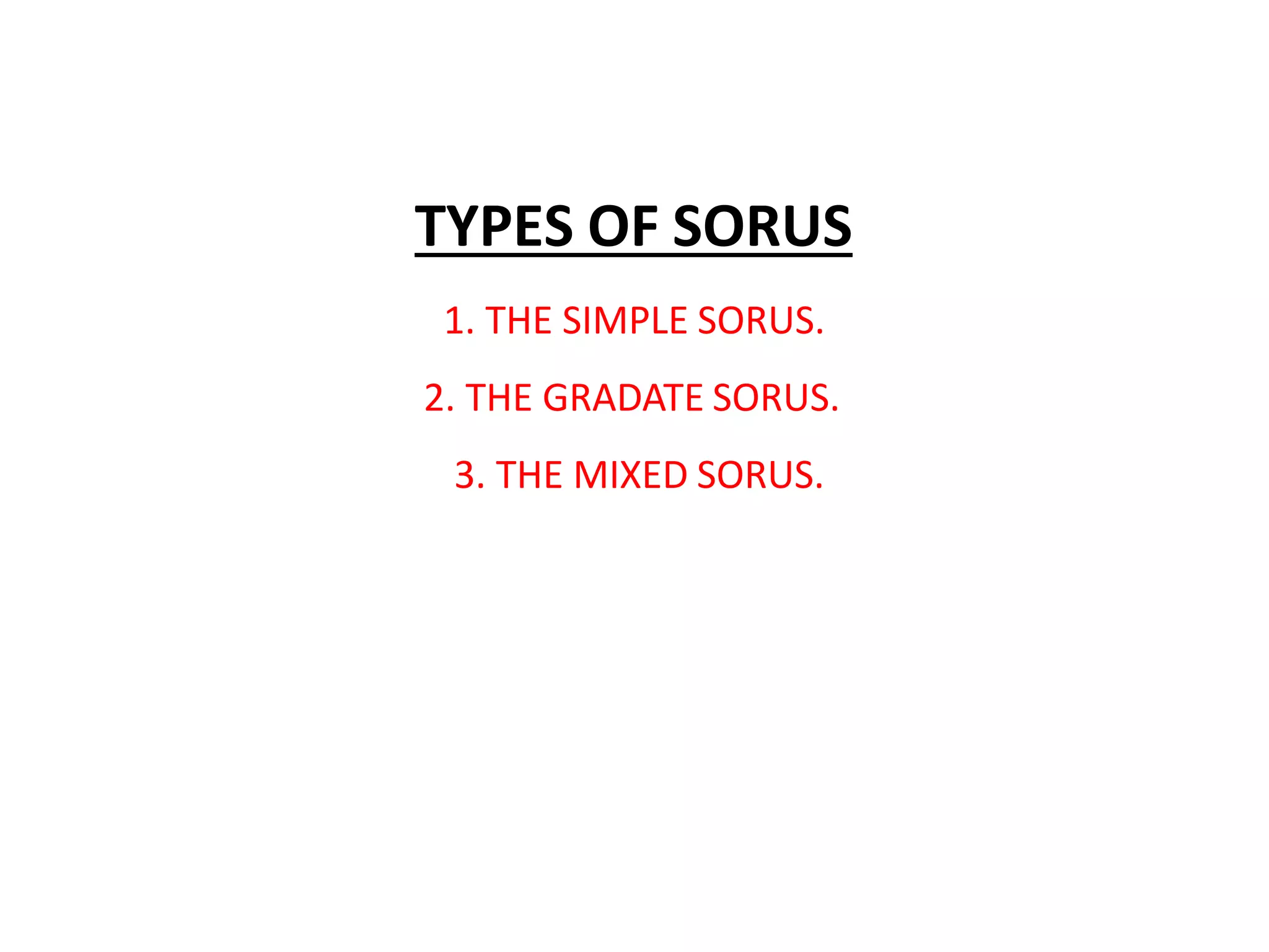 Soral evolution in filicopsida | PPTX