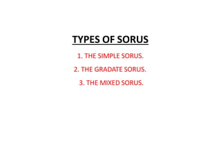 Soral evolution in filicopsida | PPTX