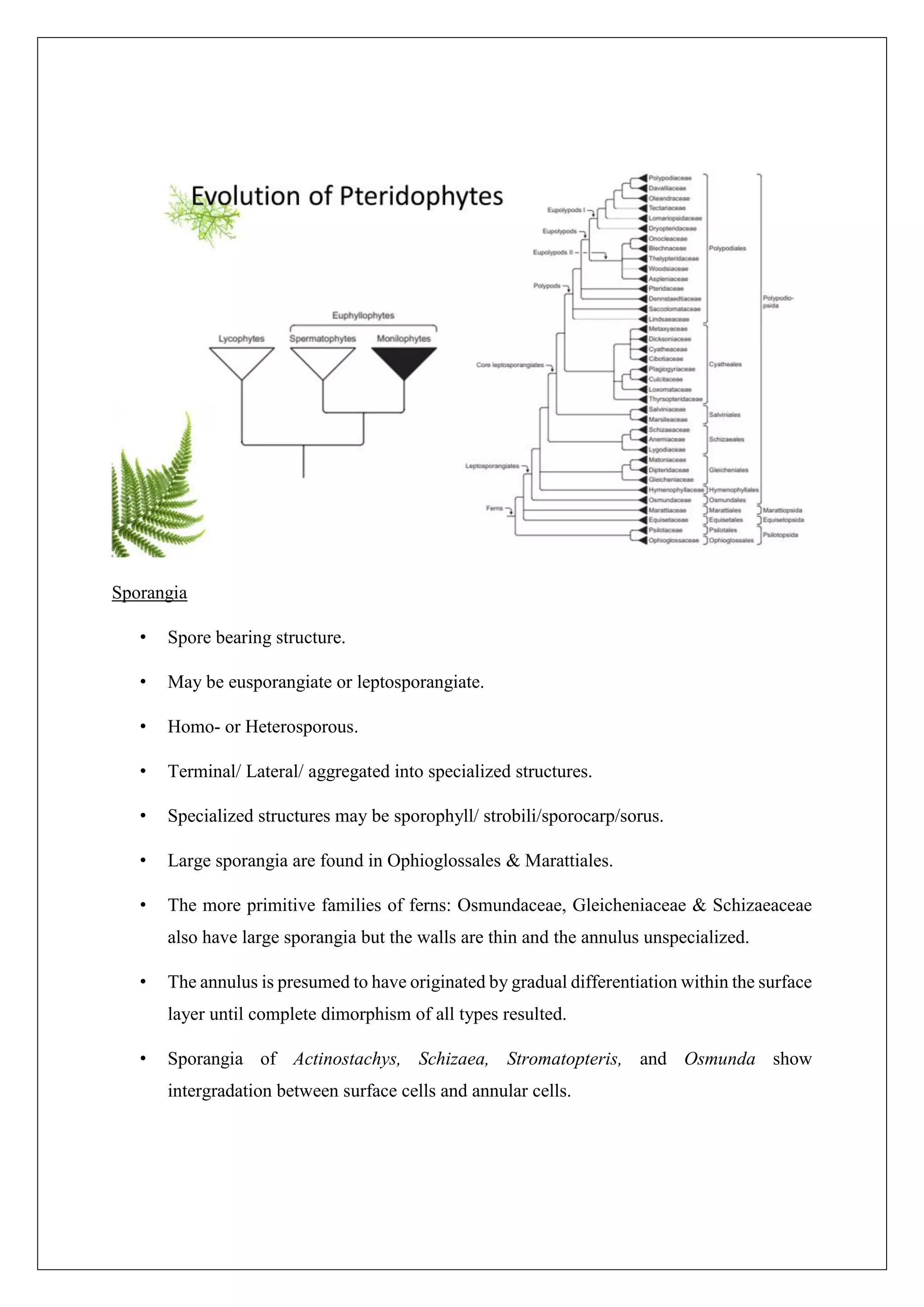 Soral & Sporangial Characters in Pteridophytes.pdf