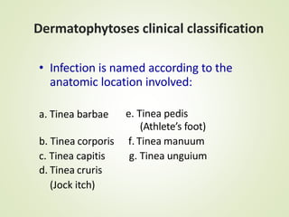 sorav debbarma presentation on dermatophytes.pptx