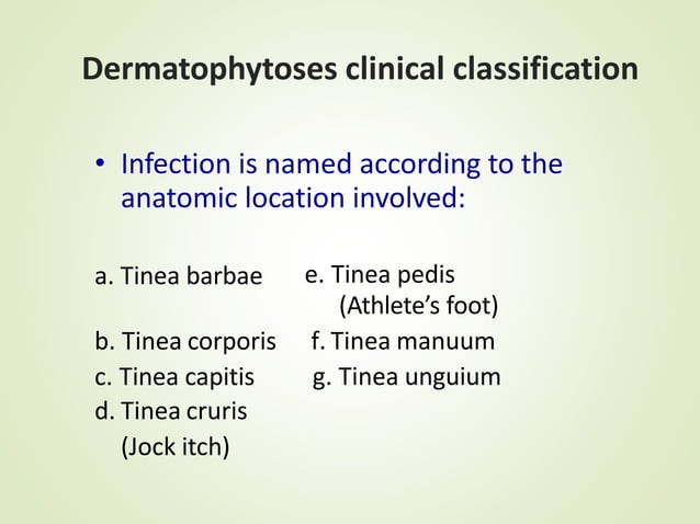 sorav debbarma presentation on dermatophytes.pptx
