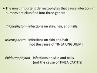 sorav debbarma presentation on dermatophytes.pptx