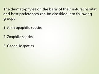 sorav debbarma presentation on dermatophytes.pptx