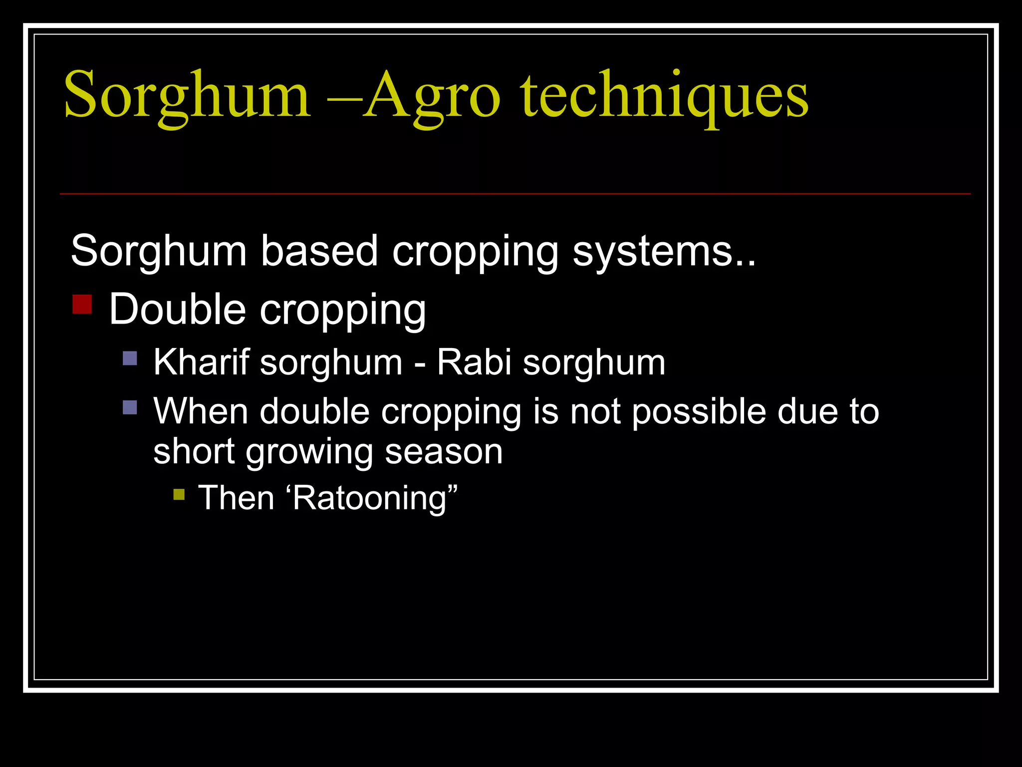 Sorghm | PPT