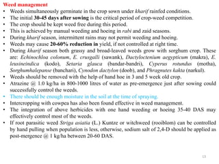 sorghum crop production technology AGRON 211 | PPTX