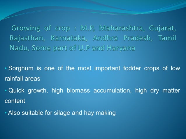 sorghum.pdf about knowing how to prooseed sorgham | PPT | Free Download