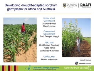 GRM 2011: Development and evaluation of drought-adapted sorghum germplasm for Africa and ...