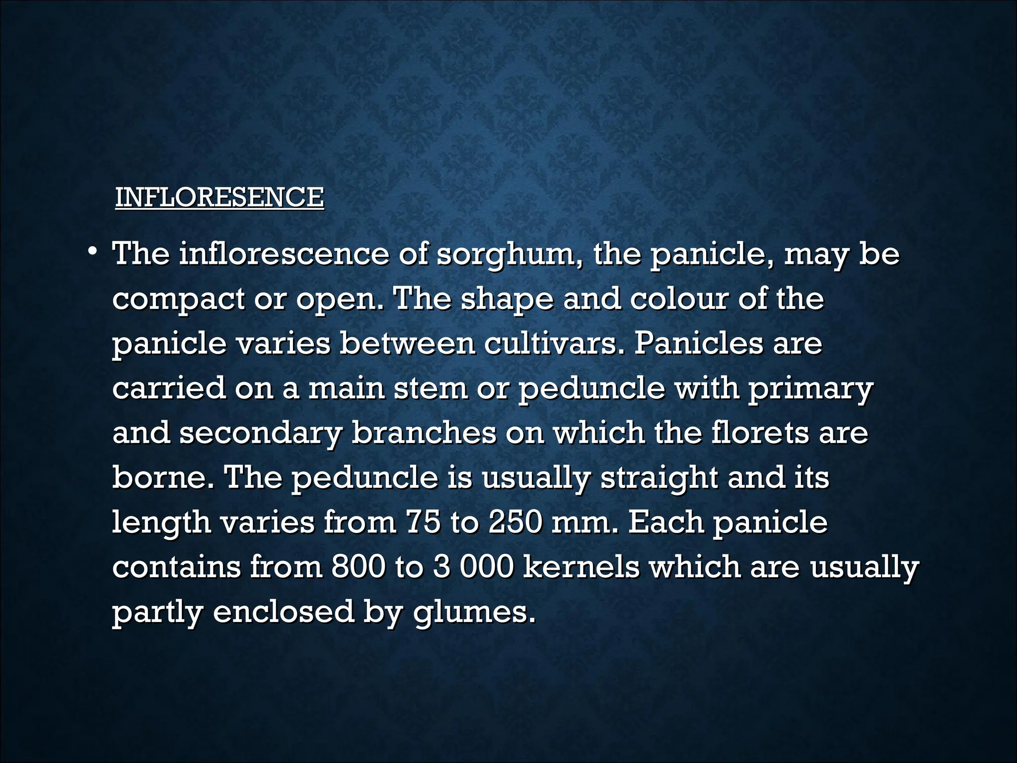 SORGHUM PRODUCTION TECHNOLOGY-revised.ppt