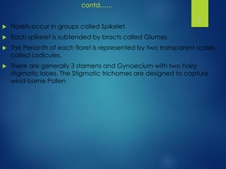 Sorghum varu gaitonde. | PDF