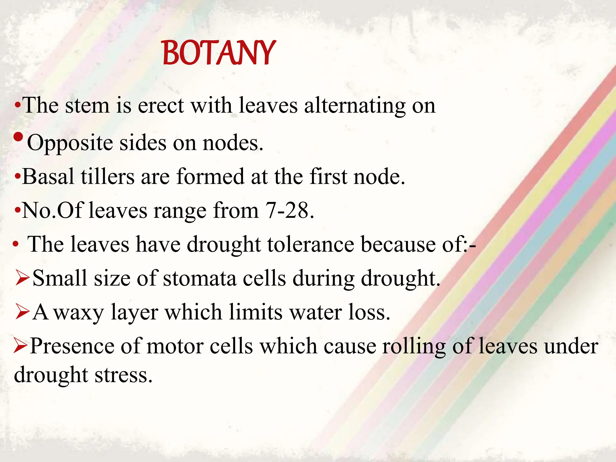 sorghum genetic breeding ,floral biology | PPTX