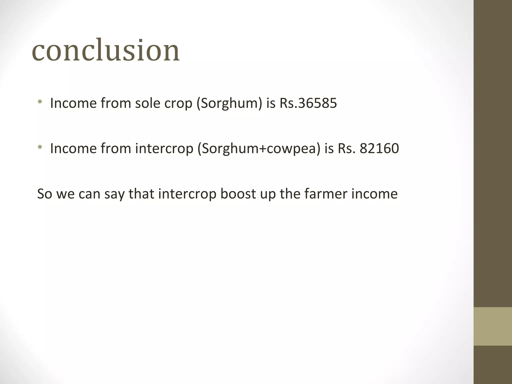 Sorghum and cowpea intercropping | PPT