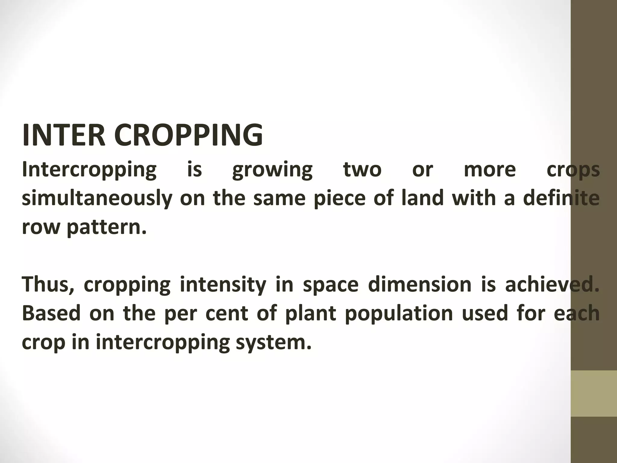 Sorghum and cowpea intercropping | PPT