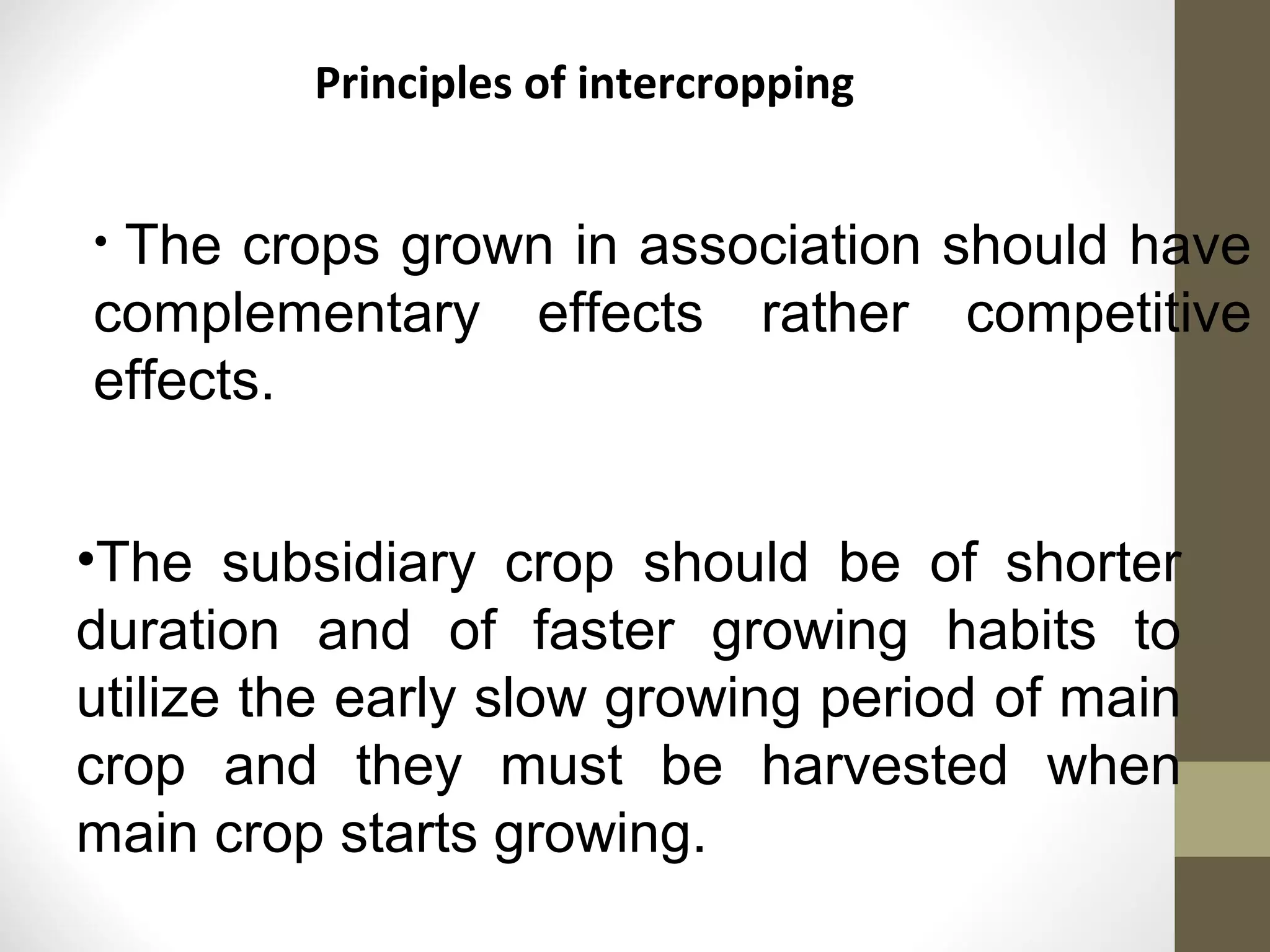 Sorghum and cowpea intercropping | PPT
