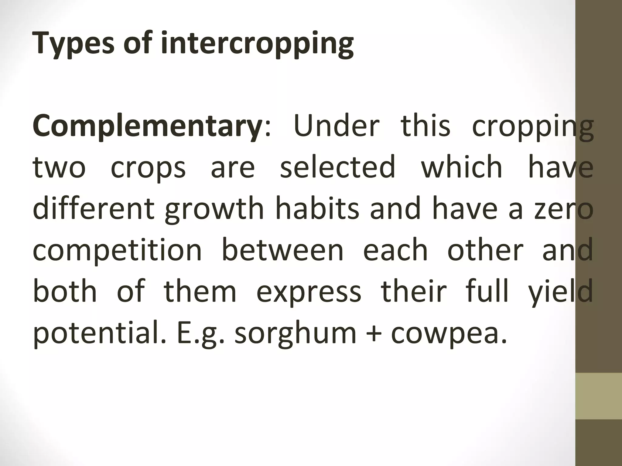 Sorghum and cowpea intercropping | PPT