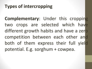 Sorghum and cowpea intercropping | PPT | Agriculture | Industries