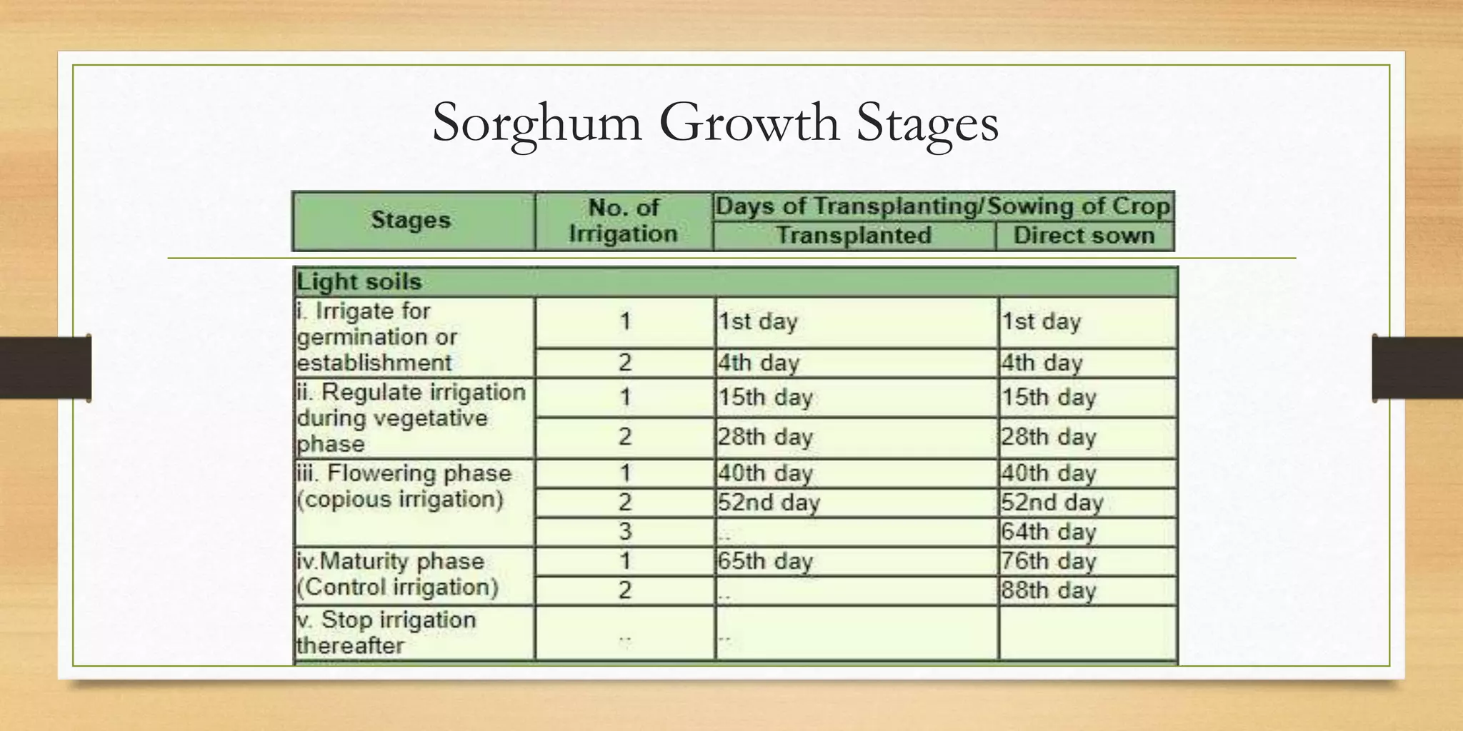 SORGHUM | PPTX