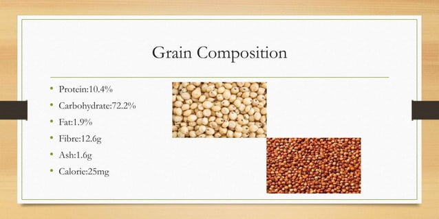 SORGHUM | PPTX | Agriculture | Industries