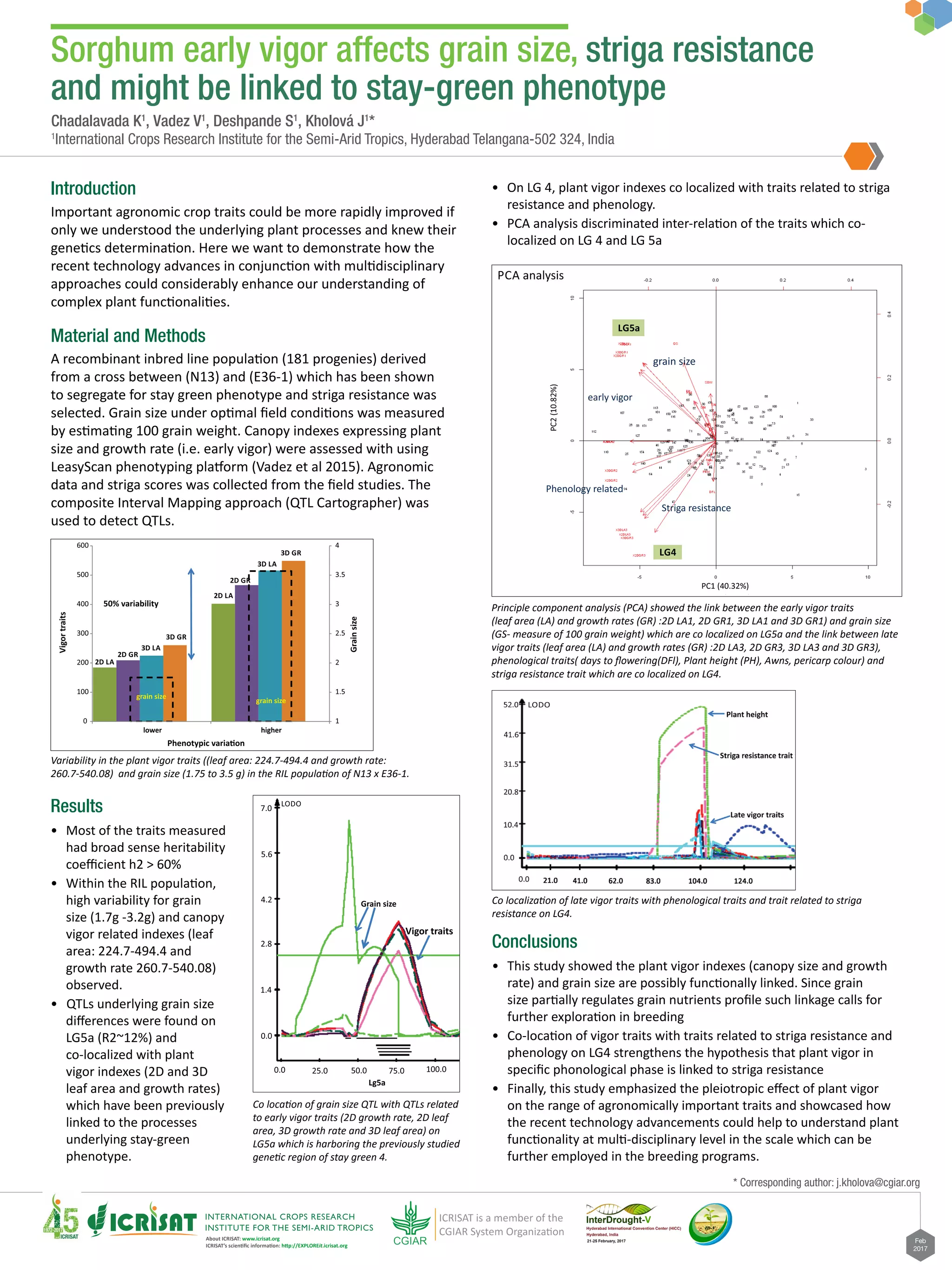 Sorghum early vigor affects grain size, striga resistance and might be ...
