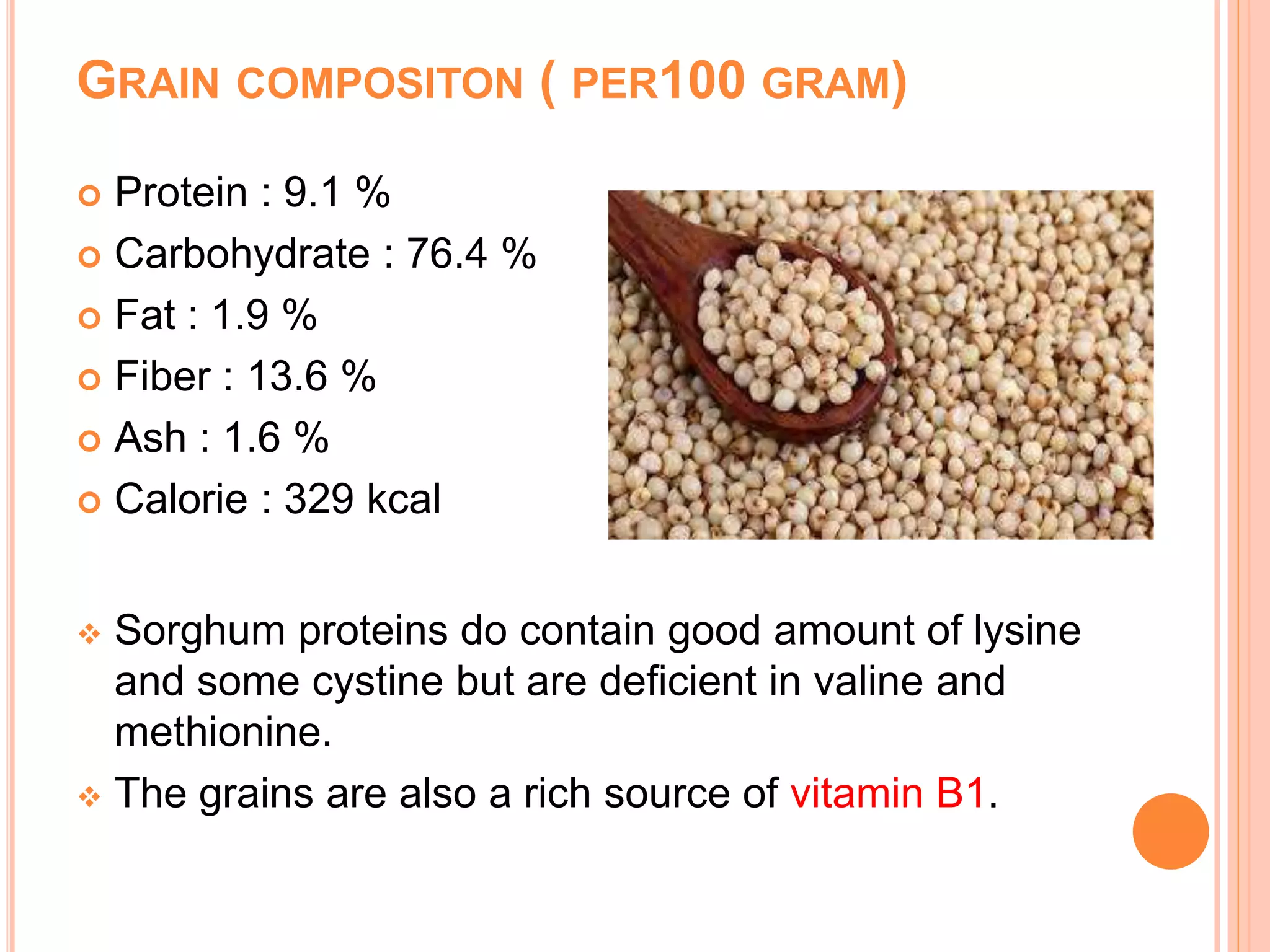 Sorghum ppt. -S Md Abbas.pptx