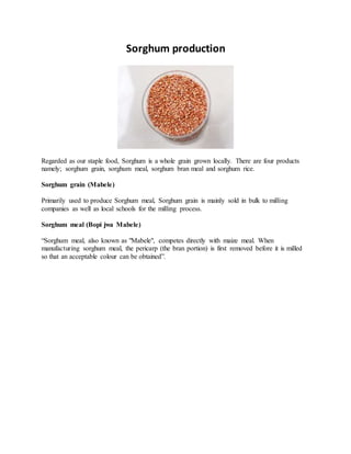Sorghum production | DOCX
