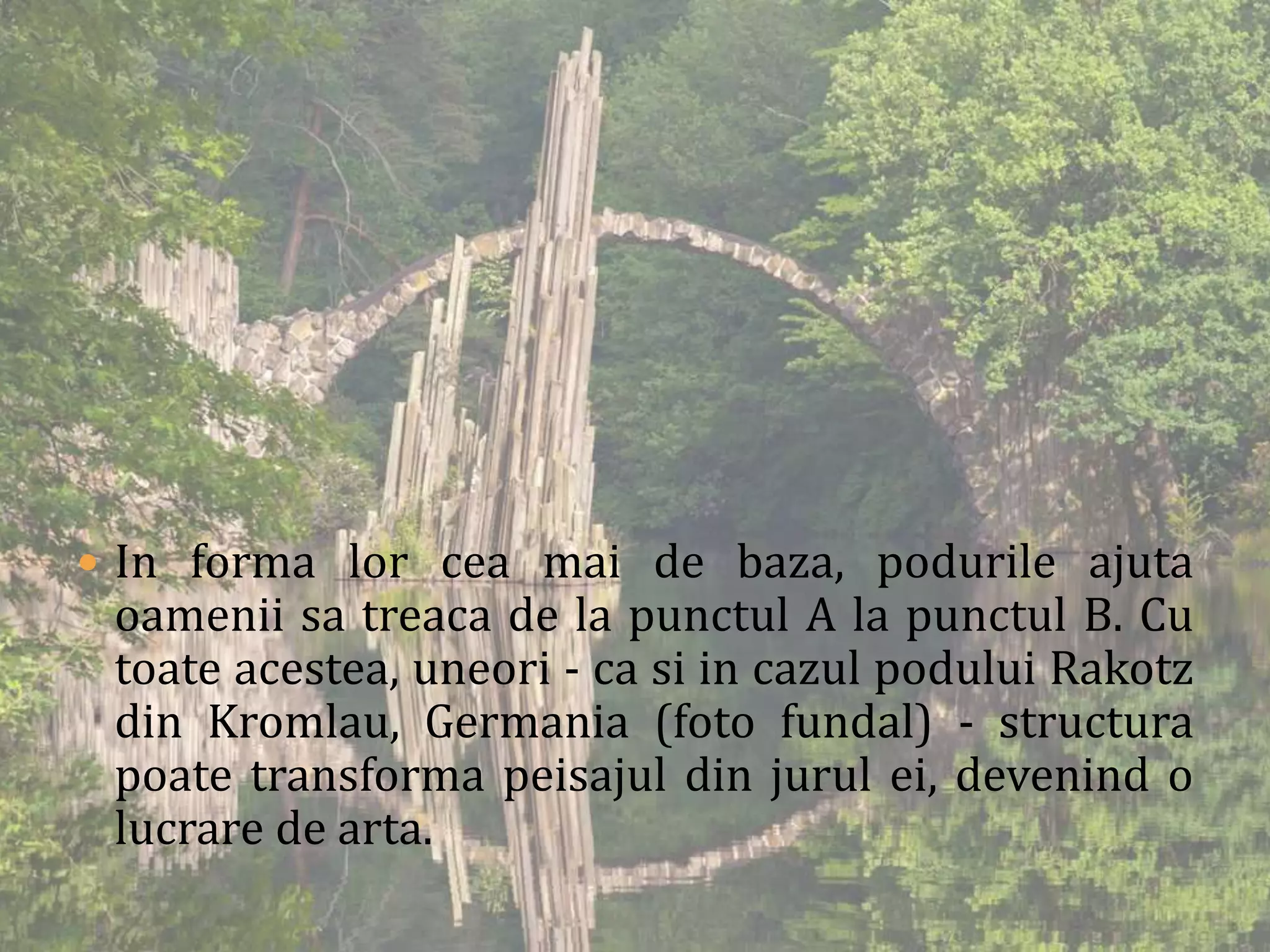 Sorin Mihai Popa - Poduri bizare | PPTX