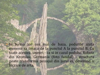 Sorin Mihai Popa - Poduri bizare | PPTX