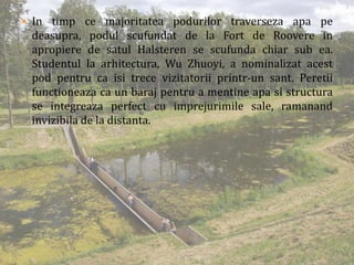 Sorin Mihai Popa - Poduri bizare | PPTX