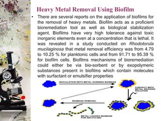 Sorption and transformation of toxic metals by microorganisms | PPT