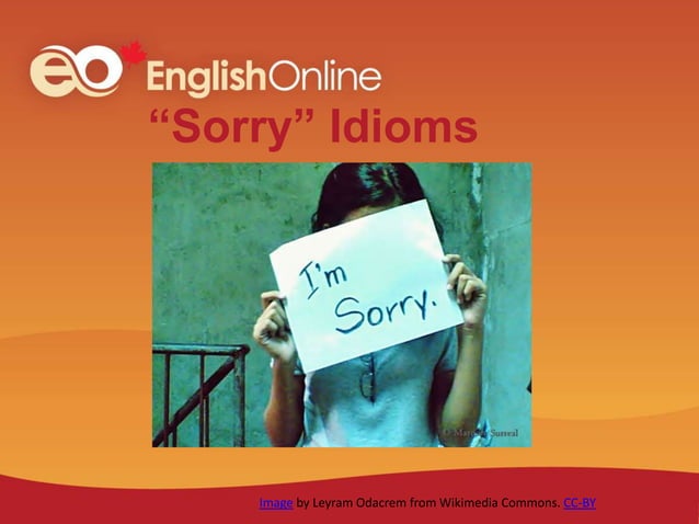 Sorry idioms | PPTX