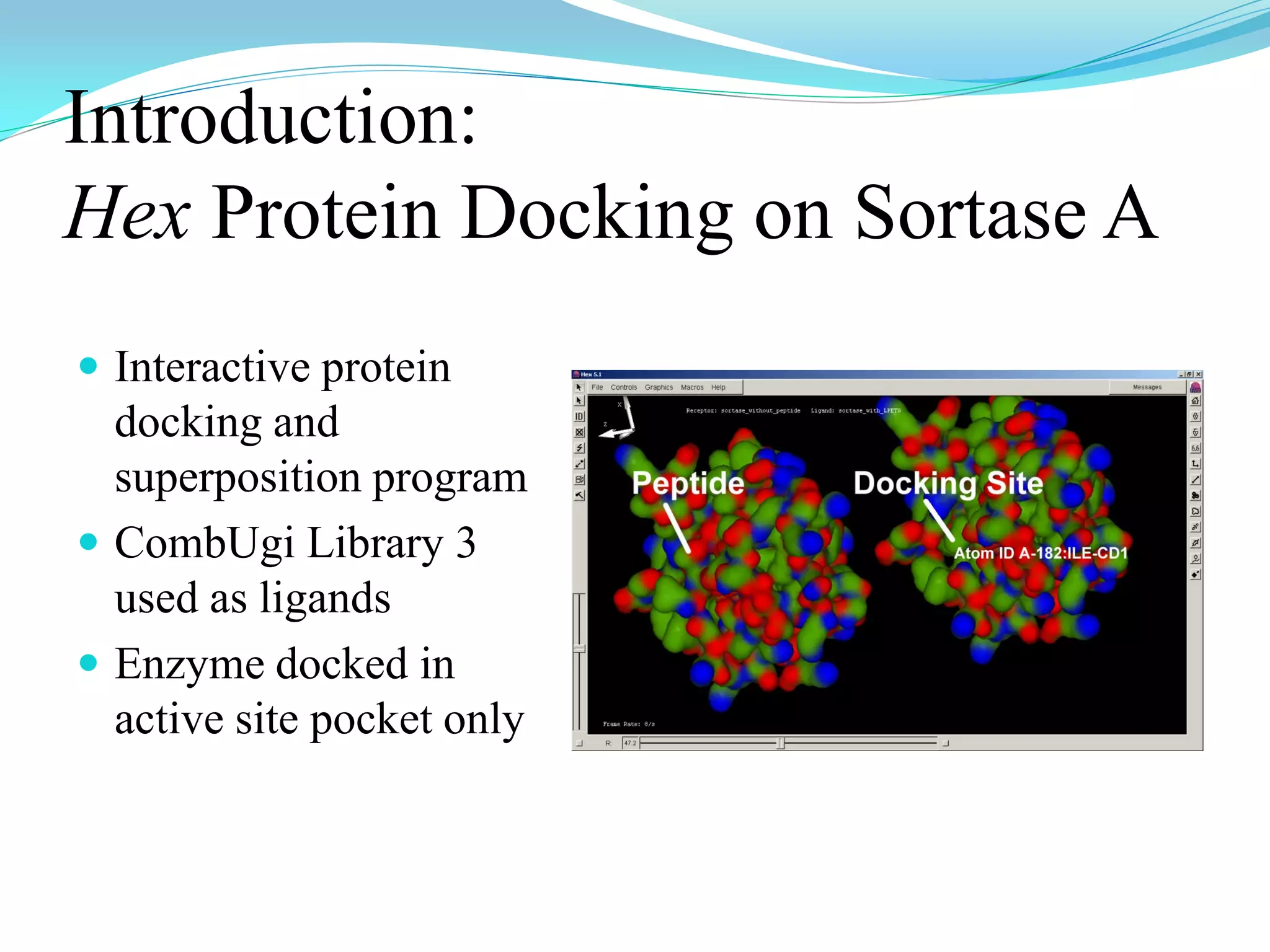 Sortase A Inhibition By Ugi Products | PPT