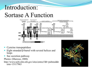 Sortase A Inhibition By Ugi Products | PPT