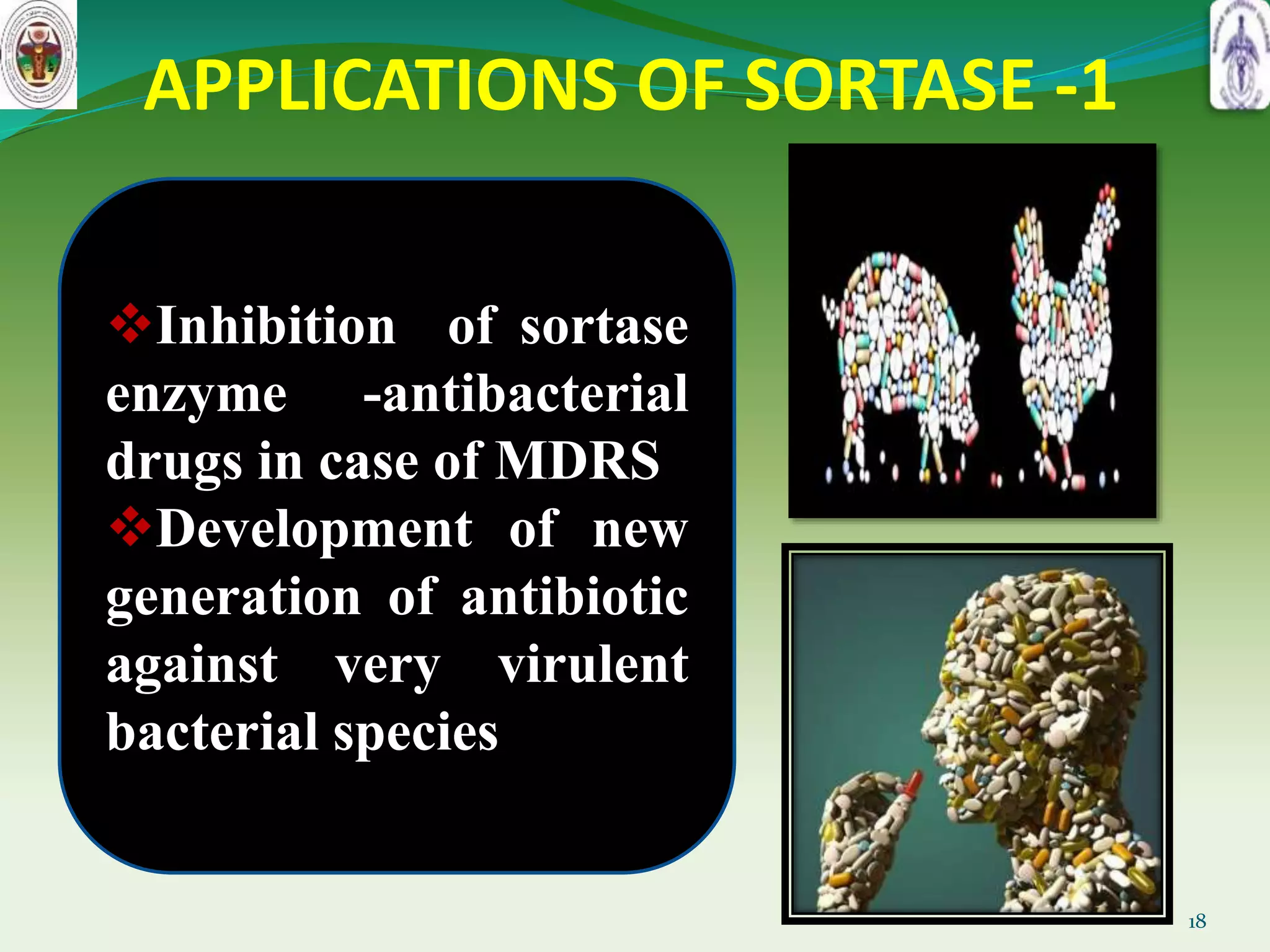 Sortase enzyme family | PPTX