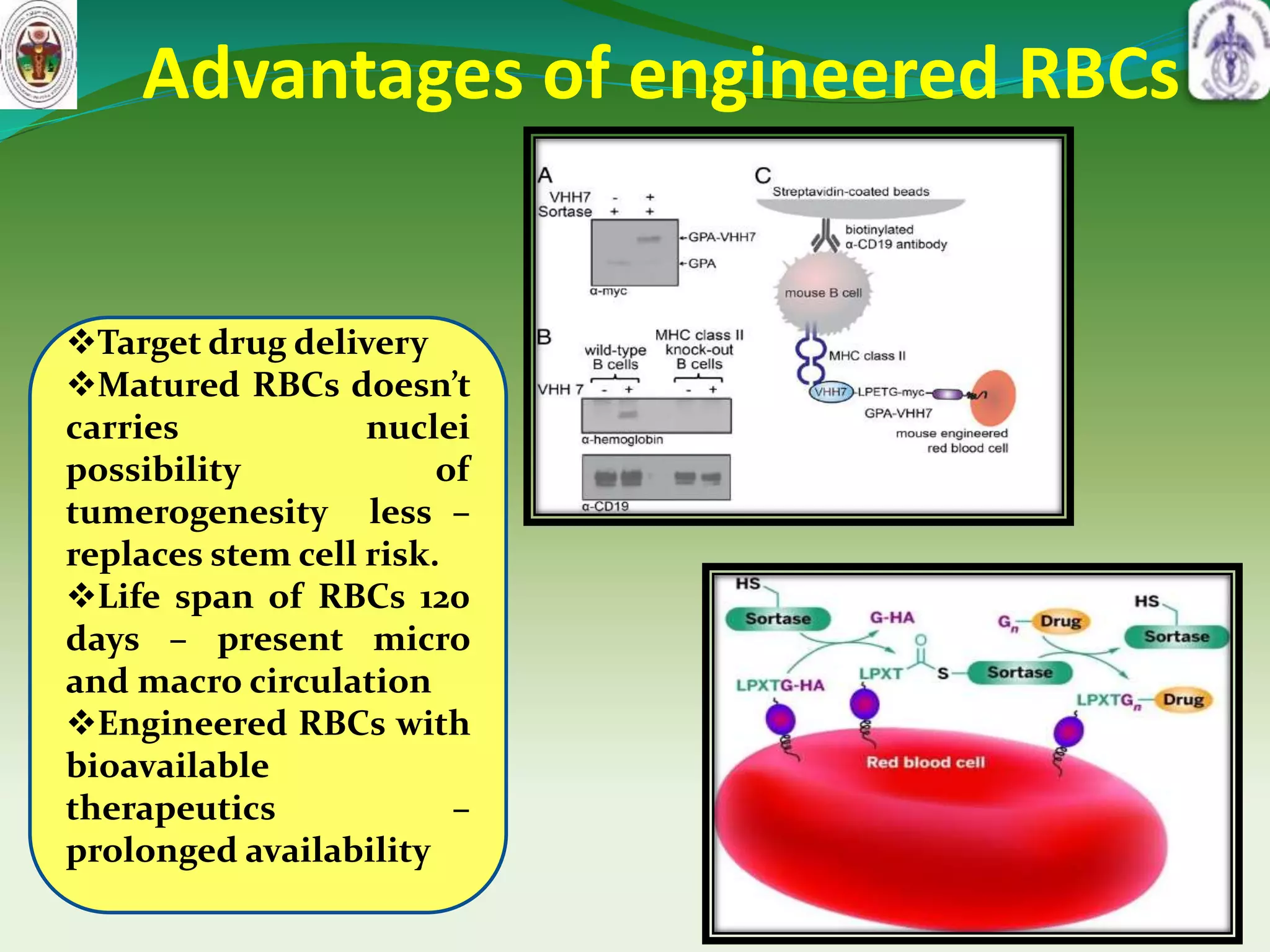 Sortase enzyme family | PPTX