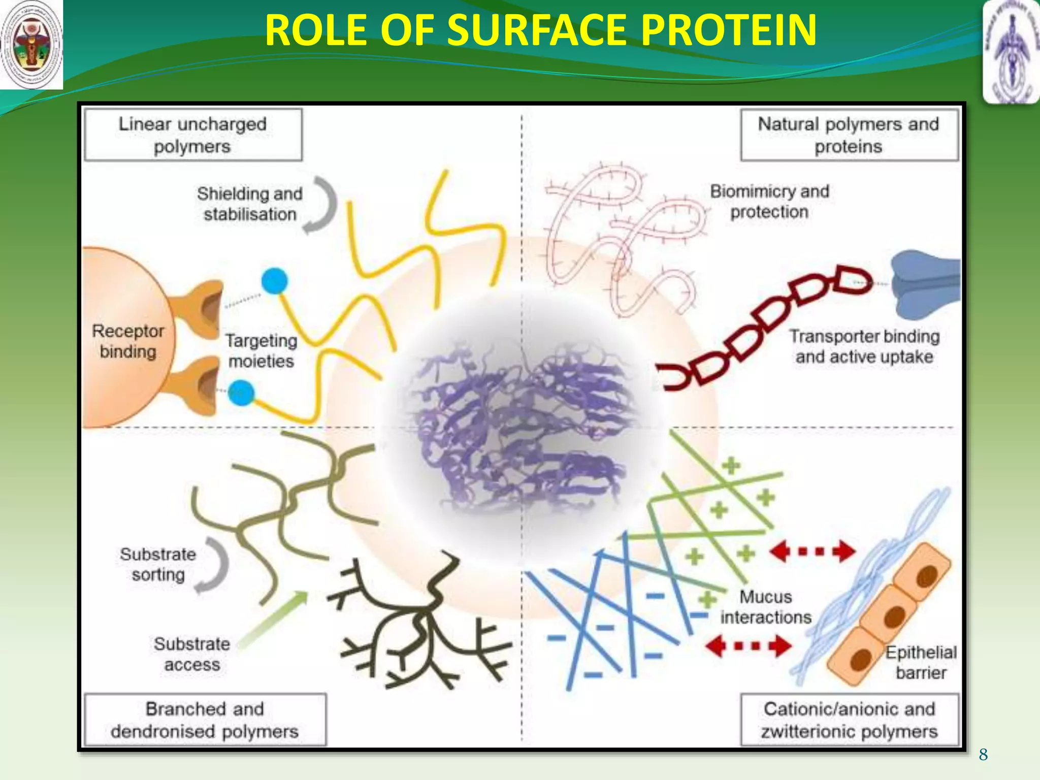 Sortase enzyme family | PPTX