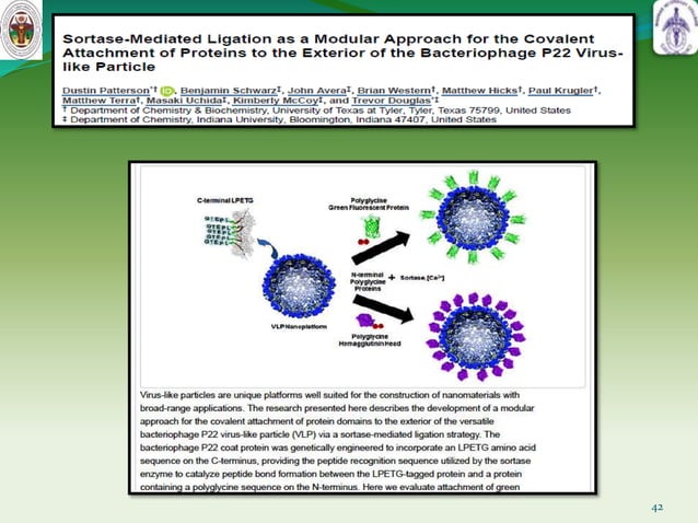 Sortase enzyme family | PPTX